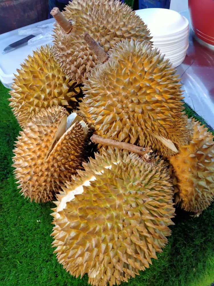 Experience real nature at Rymba Retreat - where2lifestylemagazine